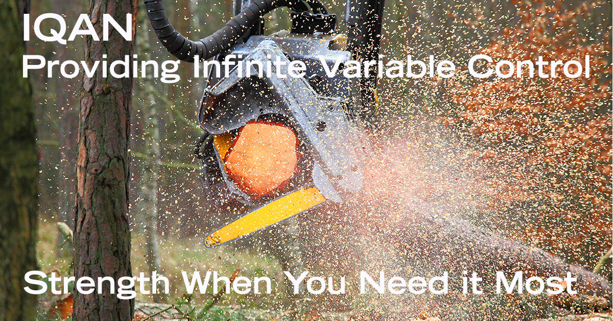 IQAN Providing Infinite Variable Control - GS Global Resources